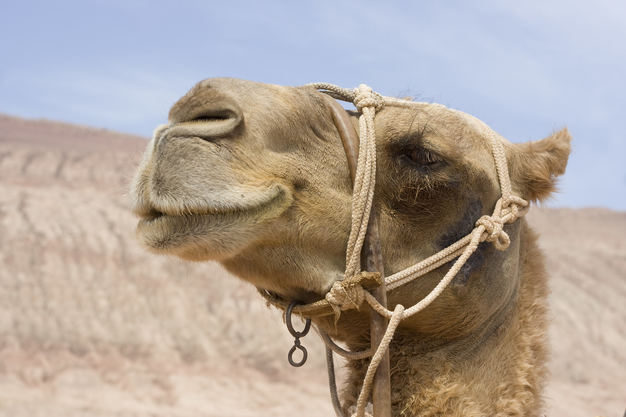 Camel Quarkus 3.27.0 Released - Apache Camel