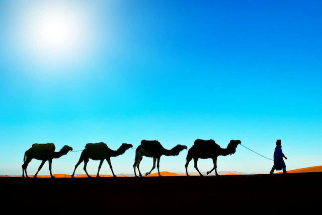 Making Apache Camel Documentation Accessible to LLMs - Apache Camel